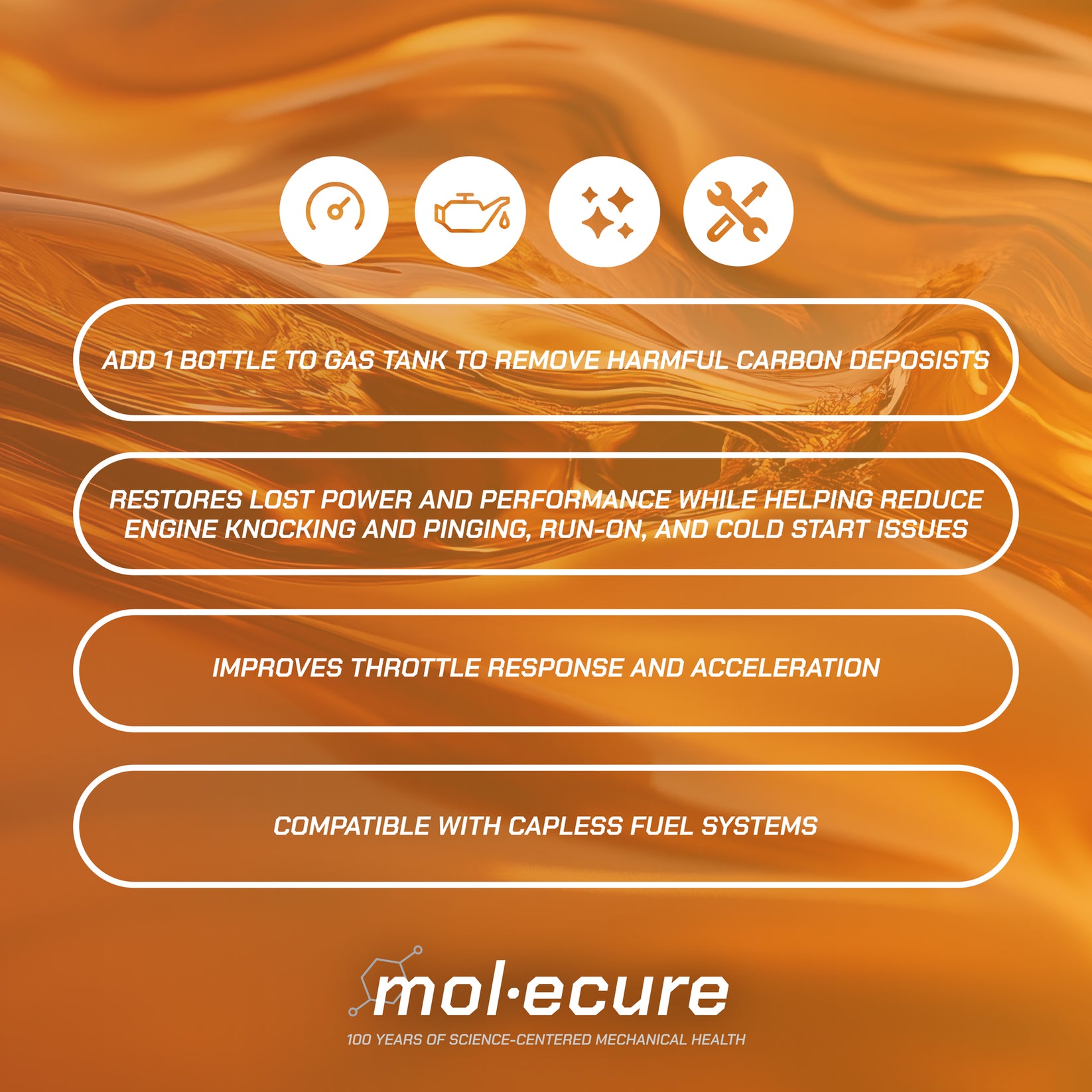 Molecure PEA Fuel System Cleaner 12 oz | Complete Clean – AGS Company ...